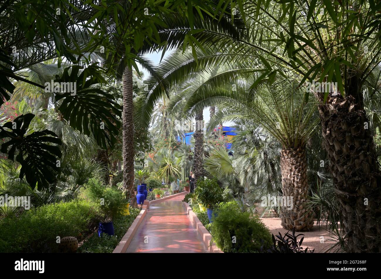 The YSL Museum and Majorelle Garden in Marrakesh, Morocco MA Stock ...