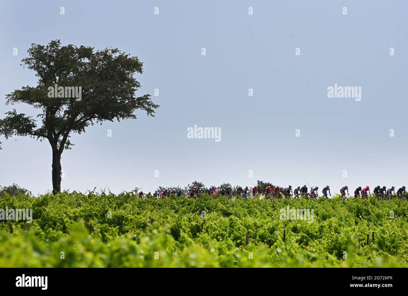 France. 10th July, 2021. The peloton ride through the French vineyards ...