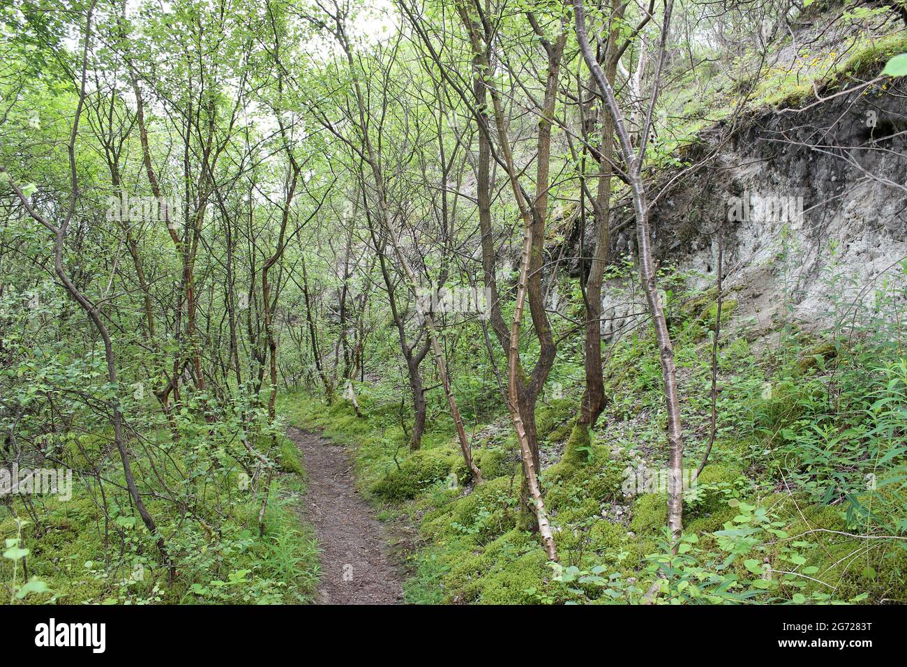Minera quarry nature reserve hi-res stock photography and images - Alamy