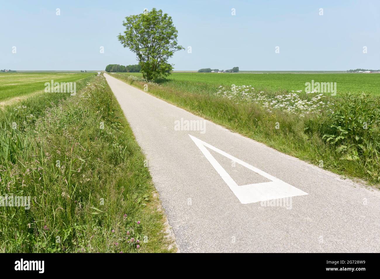 Narrow road in a flat agricultural landscape with a white painted ...