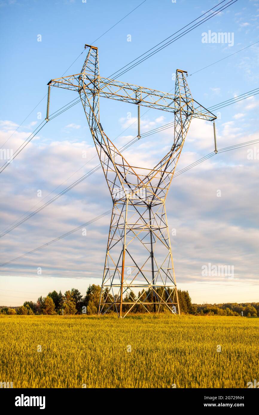 Metal poles electric supports for high-voltage wires in the fields in ...