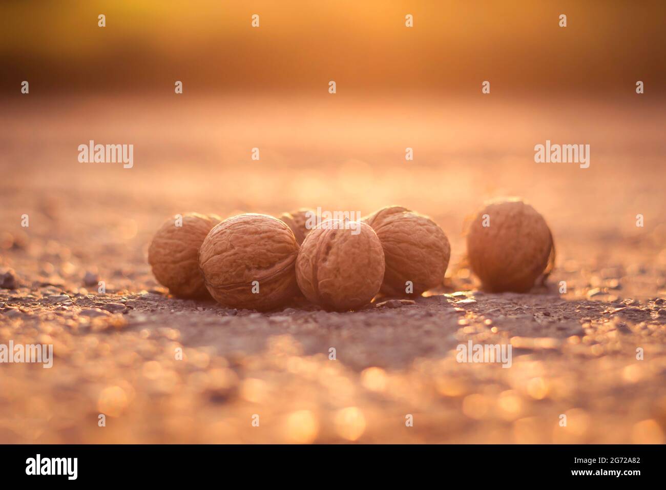 Walnut heap. Defocused nut background concept Stock Photo - Alamy