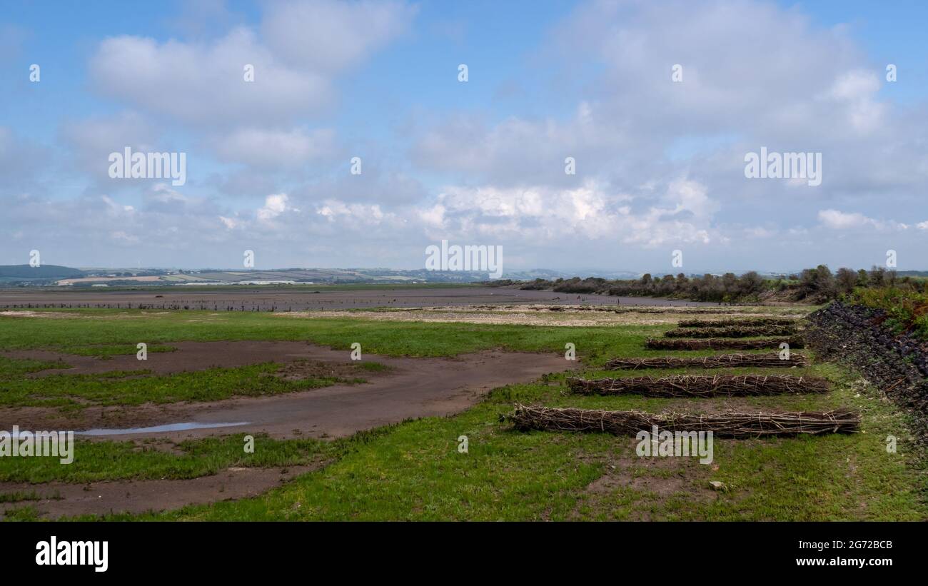 View along the Great Bank, Horsey Island, Braunton Marsh, Devon, UK at ...