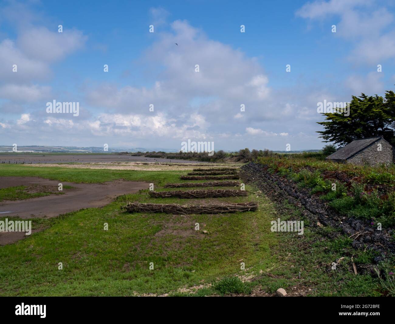 View along the Great Bank, Horsey Island, Braunton Marsh, Devon, UK at ...