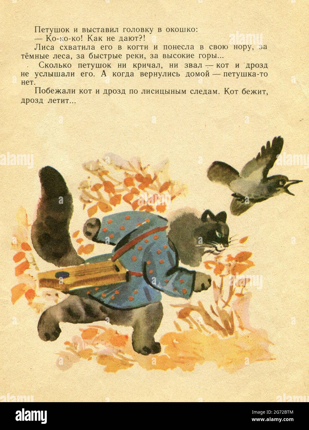 The tale of the golden cockerel hi-res stock photography and images - Alamy