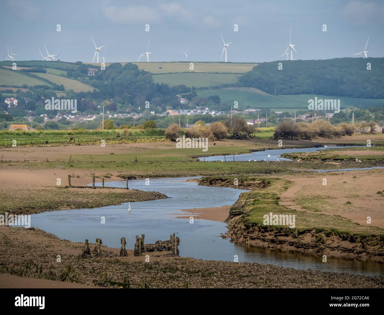 Coastal marsh birds hi-res stock photography and images - Alamy