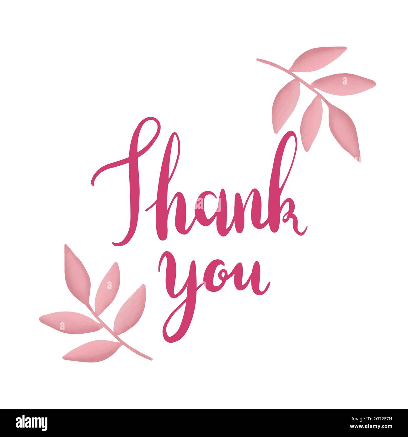 Cursive Writing Vector Vectors High Resolution Stock Photography and ...