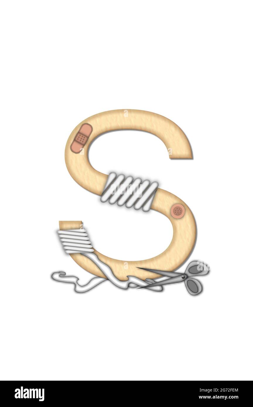 Alphabet letter S, in the set Boo Boo, is tan to represent the color of ...