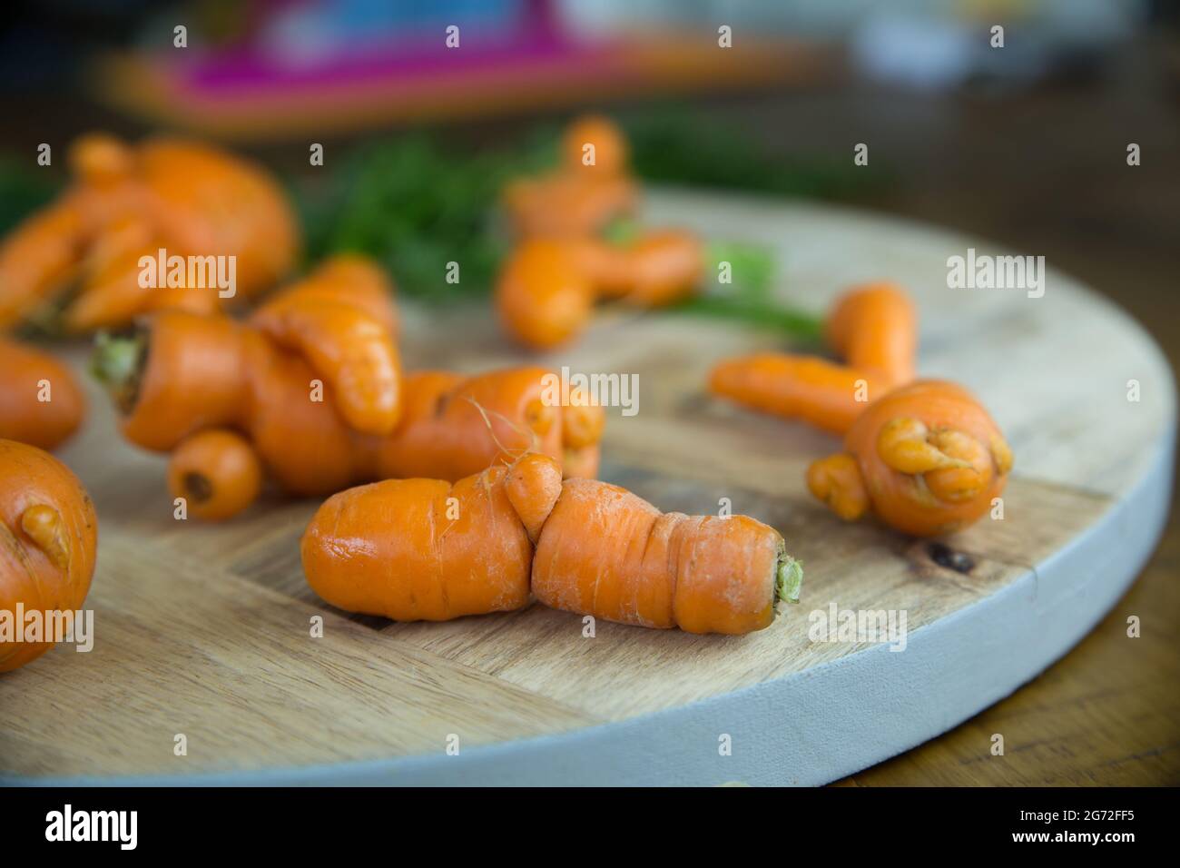 Look at funny shaped fresh baby carrots on a wooden table Stock Photo ...
