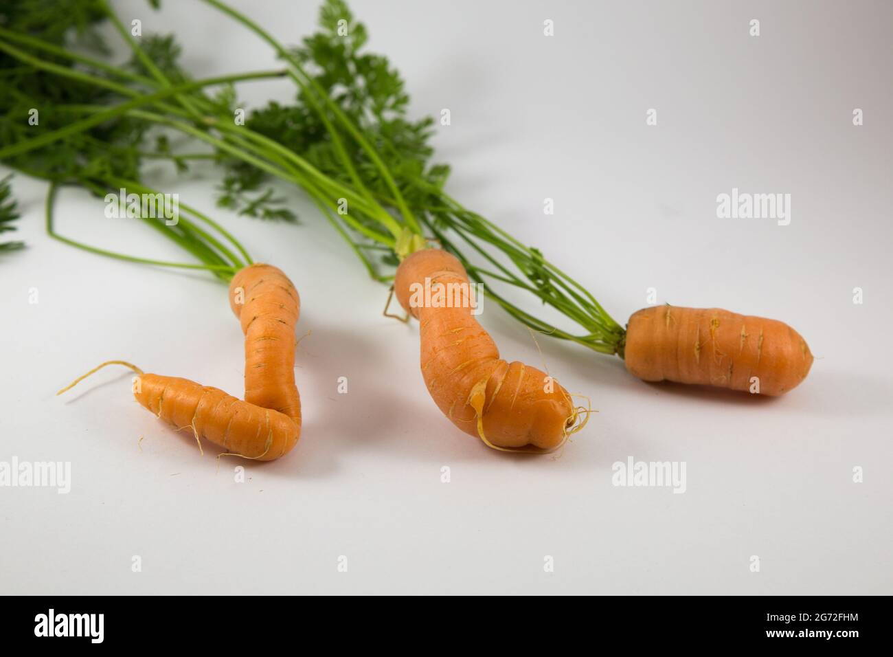 Three isolated carrots with roots on a white background Stock Photo - Alamy