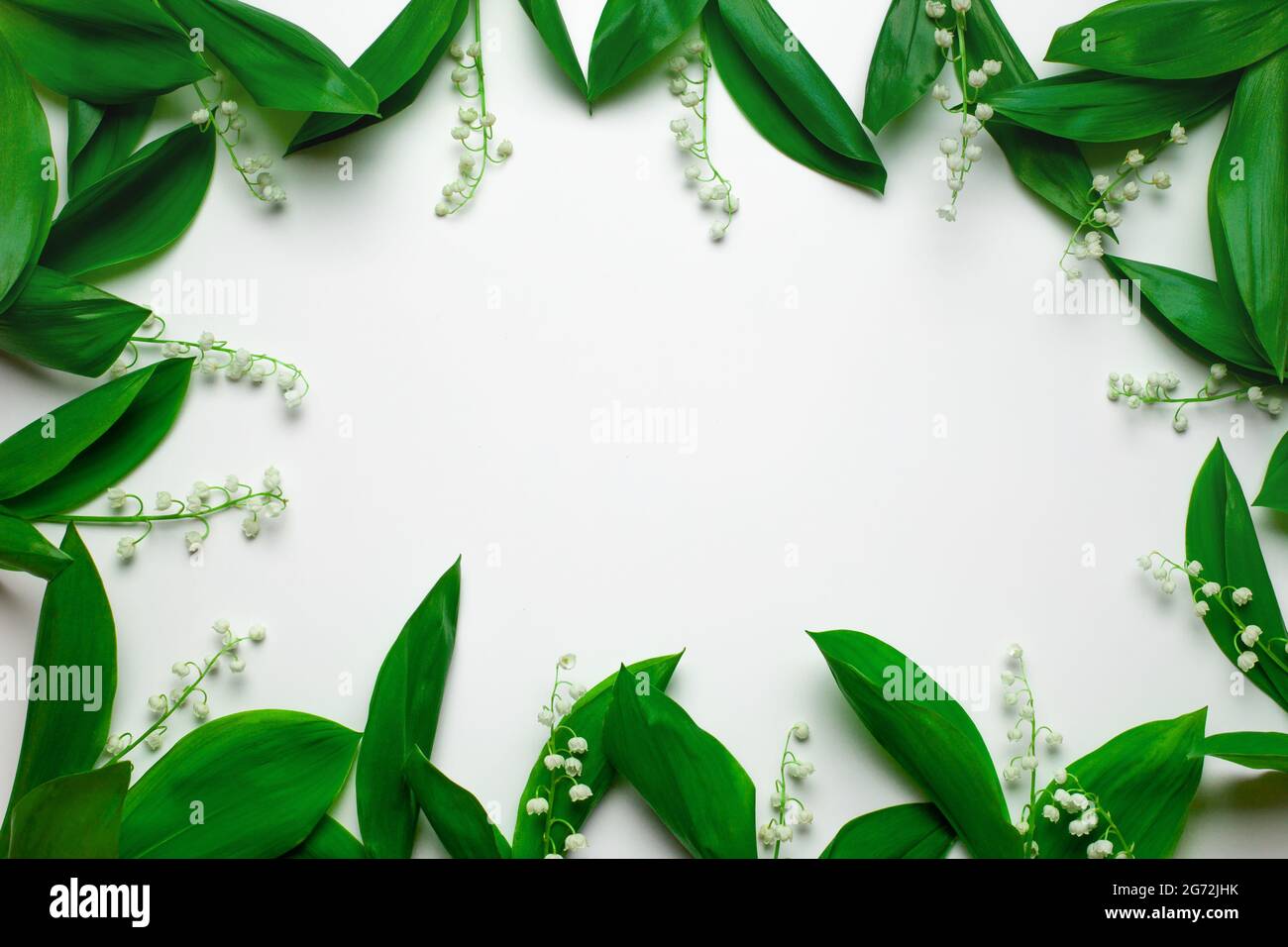 flat lay on a spring frame of blooming lilies of the valley with leaves ...