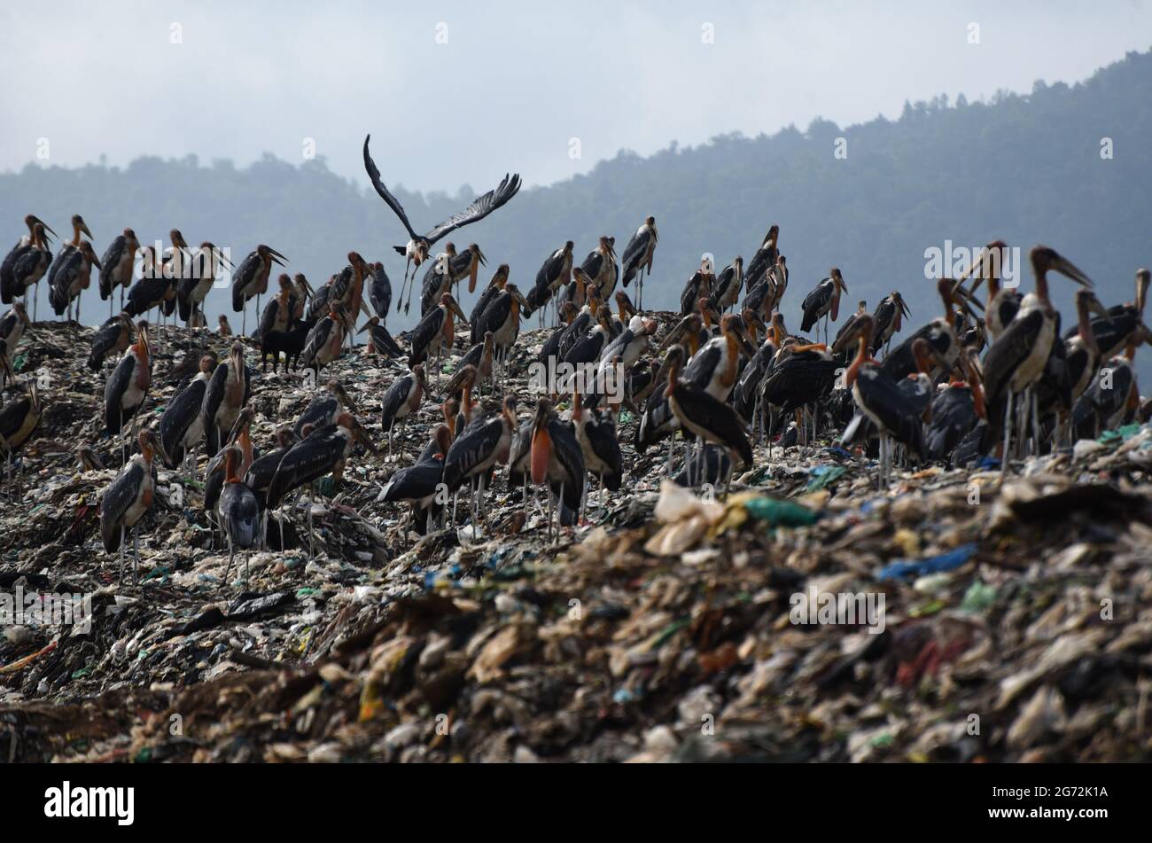 Boragaon hi-res stock photography and images - Alamy