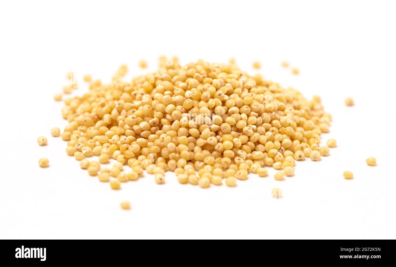 Whole Millet Pearl Grains Isolated on a White Background Stock Photo ...