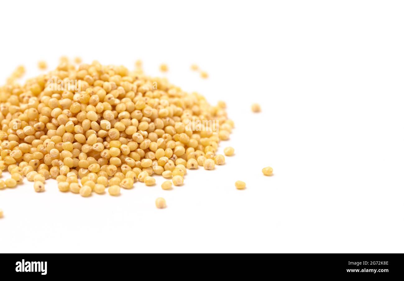Whole Millet Pearl Grains Isolated on a White Background Stock Photo ...