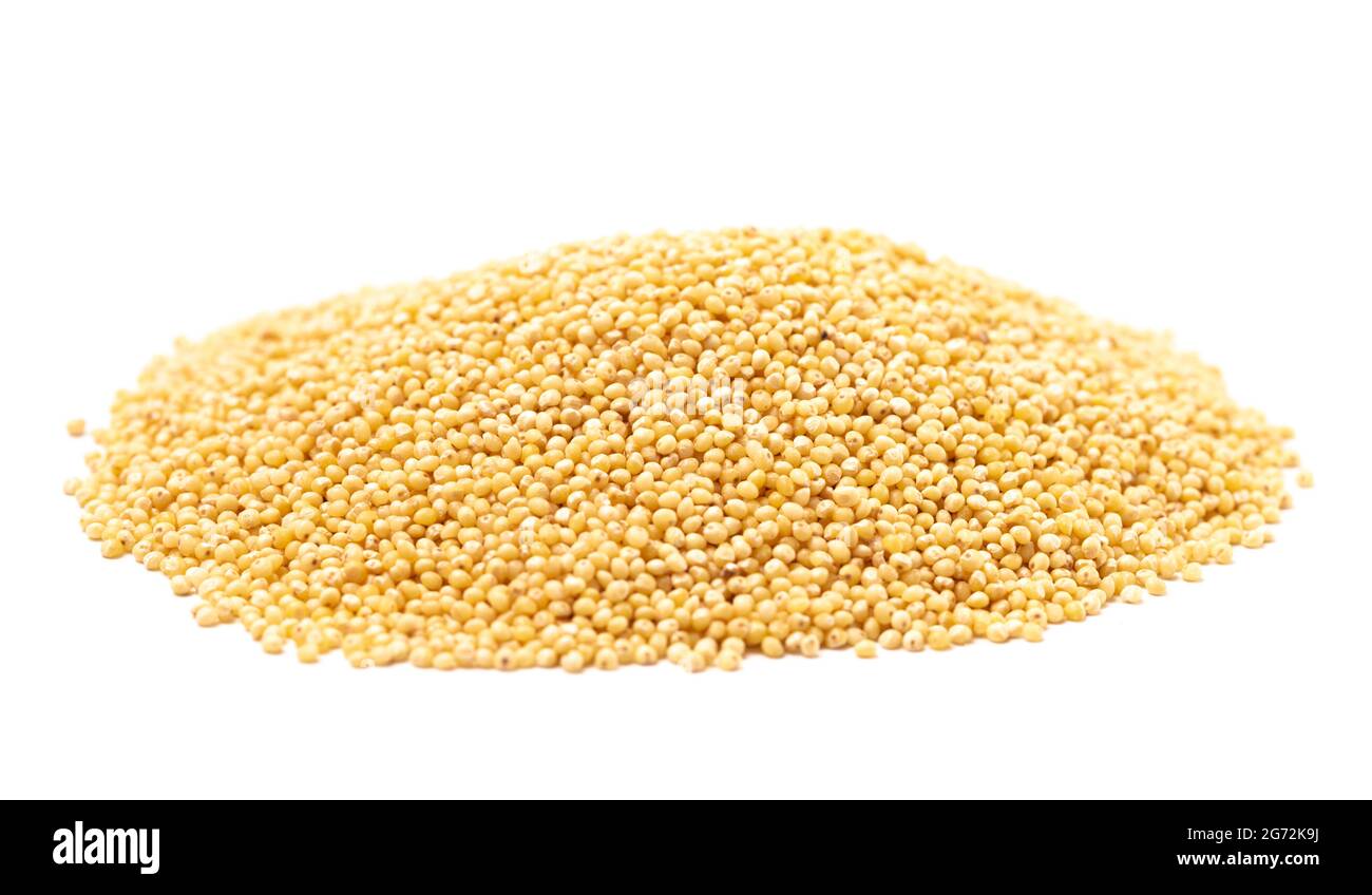 Whole Millet Pearl Grains Isolated on a White Background Stock Photo ...