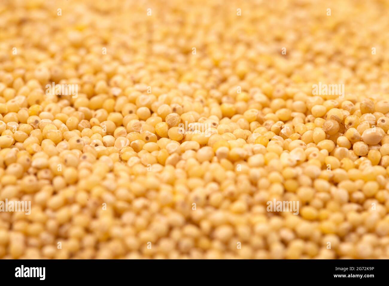 A Background of Whole Millet Grain Stock Photo - Alamy