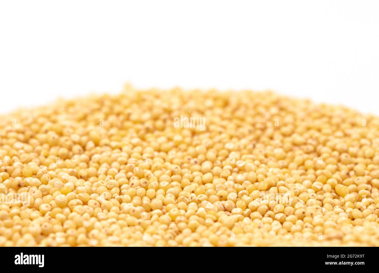 Whole Millet Pearl Grains Isolated on a White Background Stock Photo ...