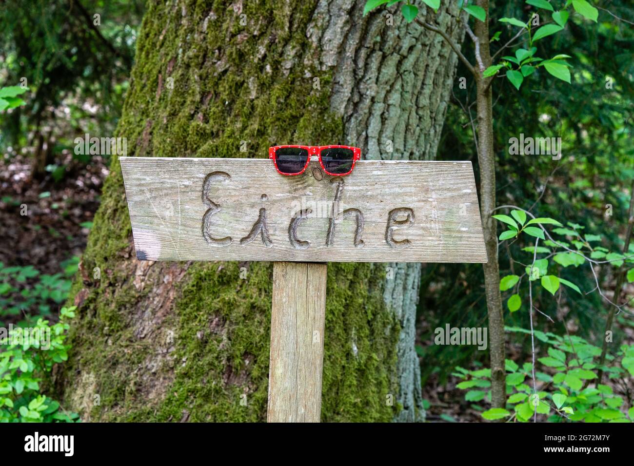 Tree information hi-res stock photography and images - Alamy