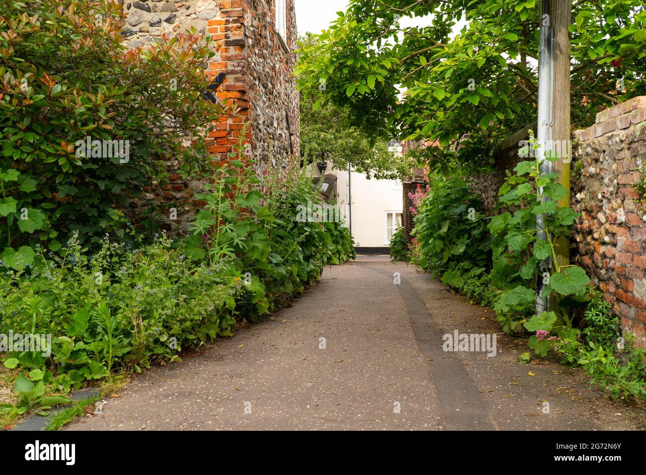 Overgrown alleyway hi-res stock photography and images - Alamy