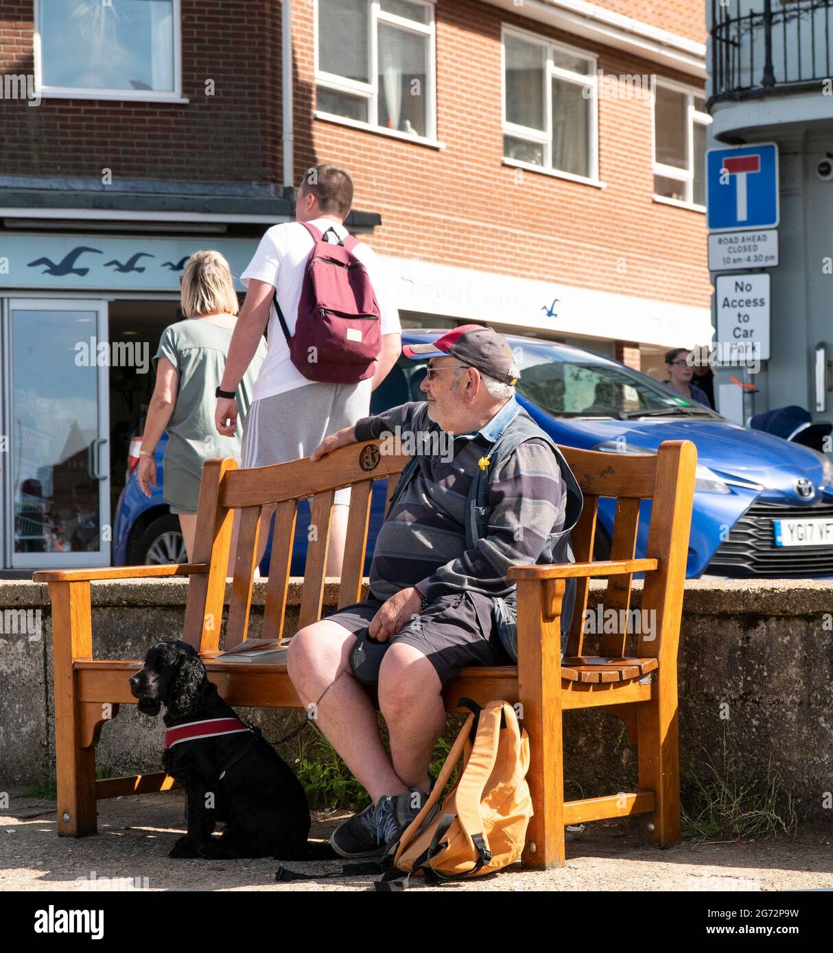 Old Man Sitting On A Park Bench