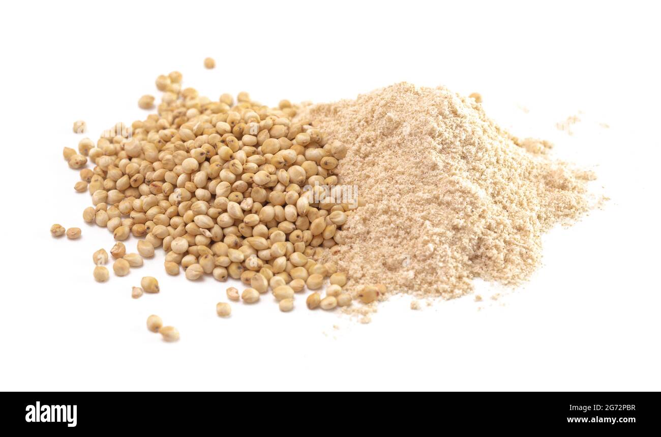 Sprouted Sorghum Grains and Sorghum Flour on a White Background Stock ...