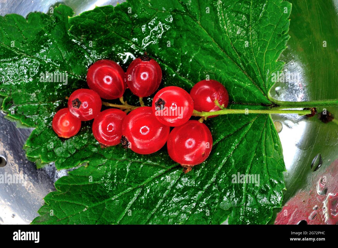 currants, food, natural, fresh, wholesome healthy, sweet, detail, no ...