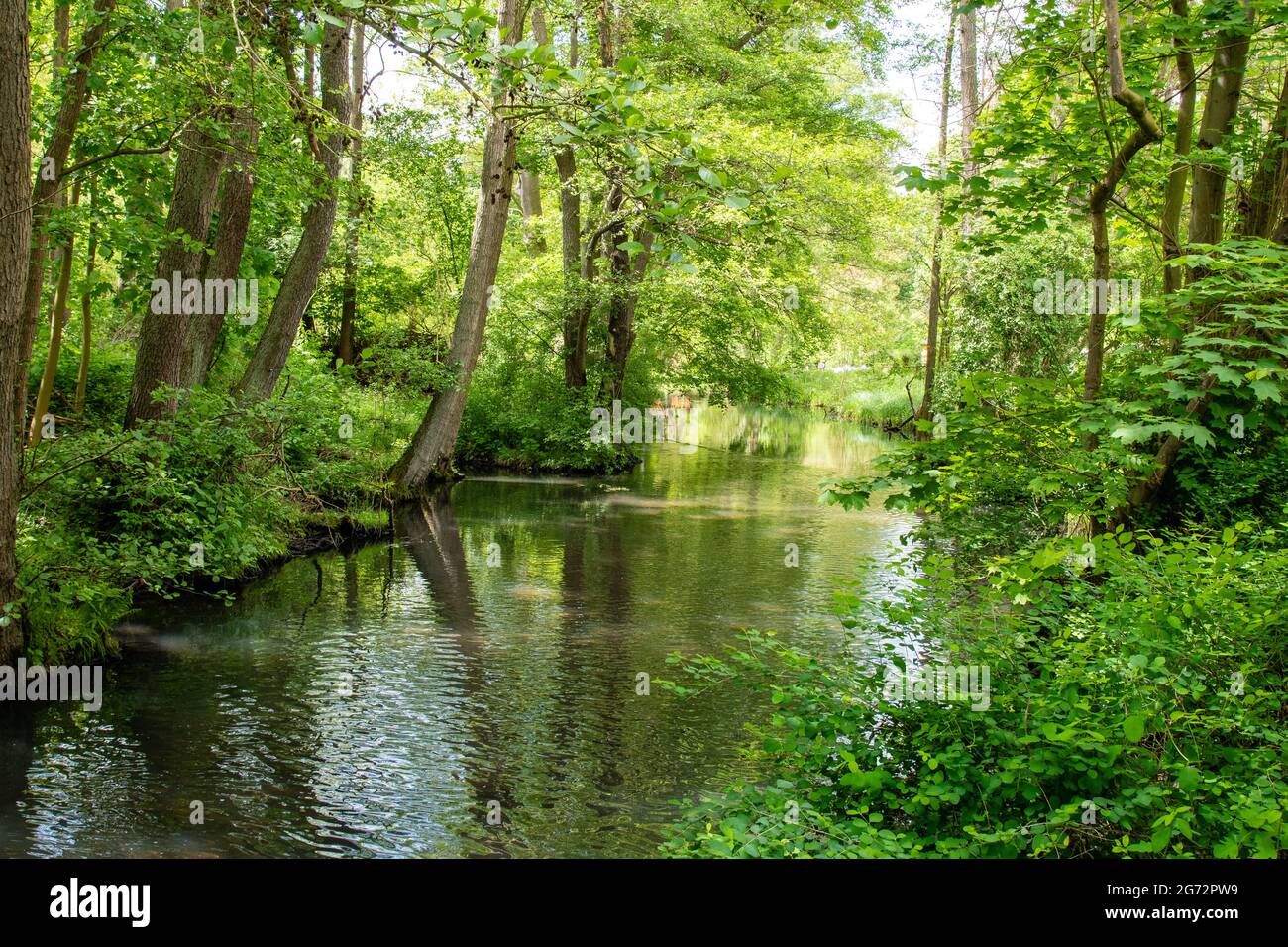 River streem hi-res stock photography and images - Alamy