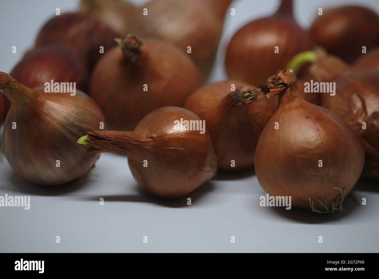 Small onions with white background Stock Photo - Alamy