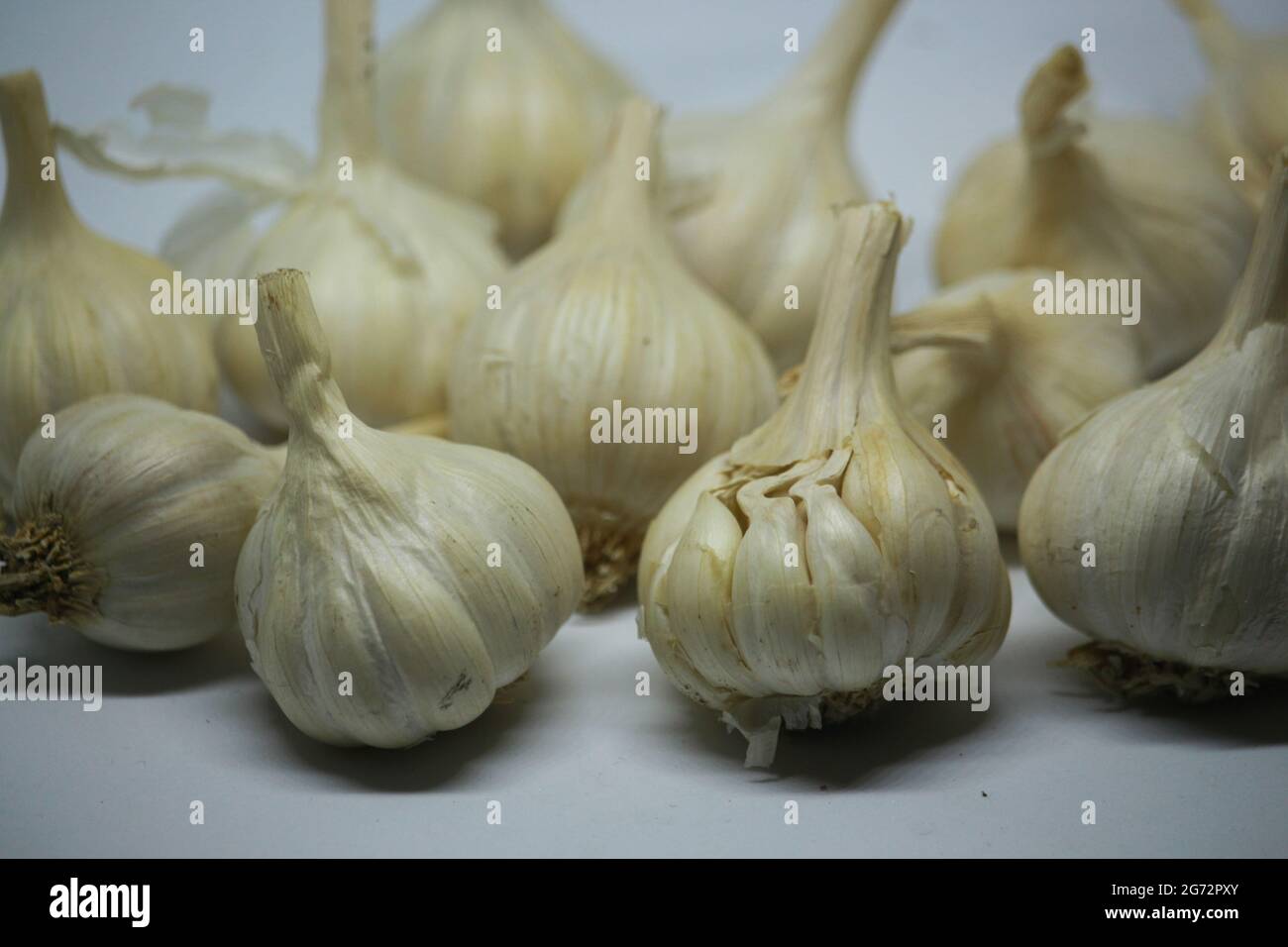 Small white garlic with white background Stock Photo - Alamy