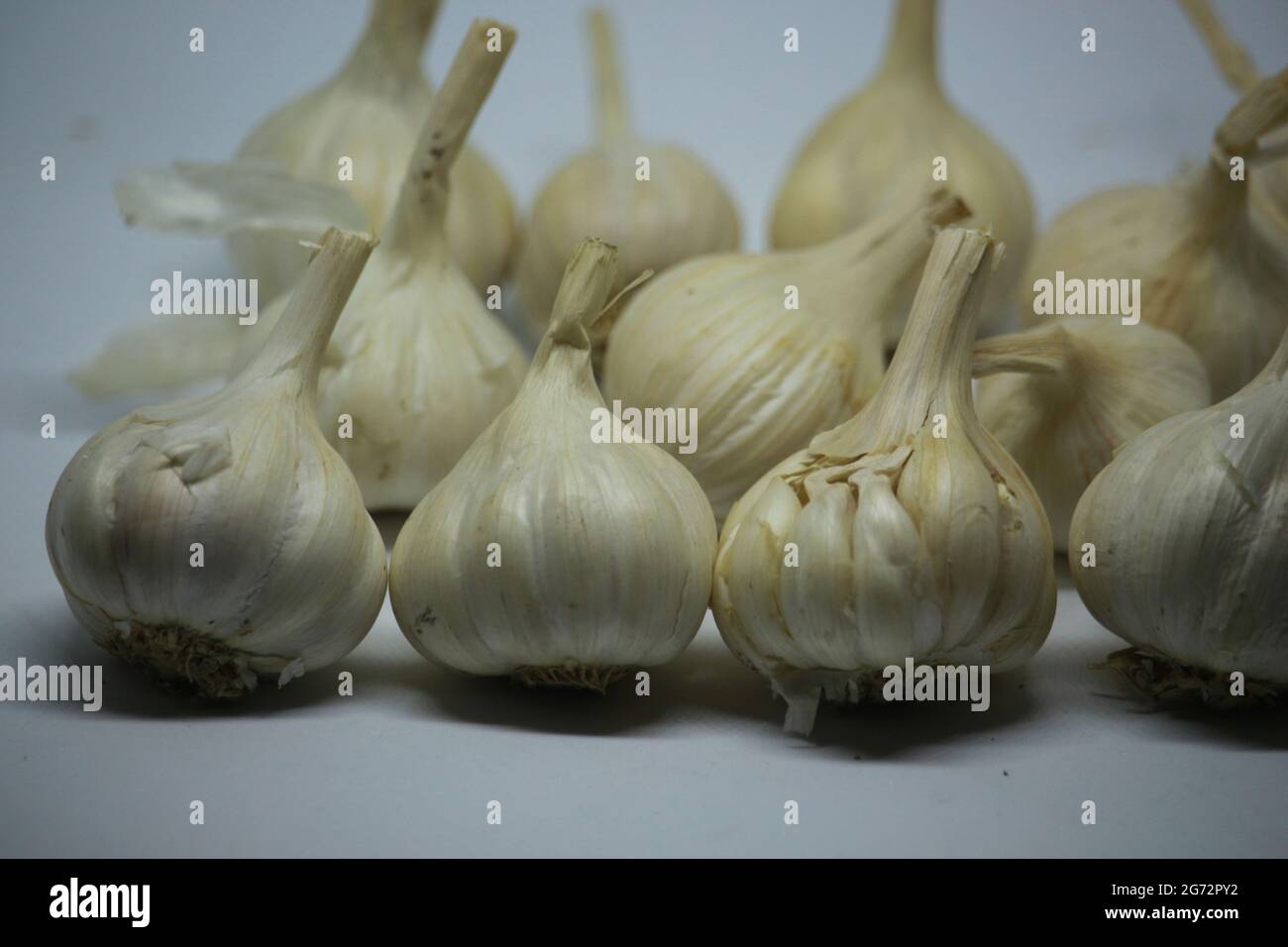 Small white garlic with white background Stock Photo - Alamy