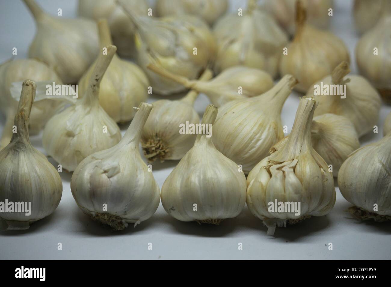 Small white garlic with white background Stock Photo - Alamy