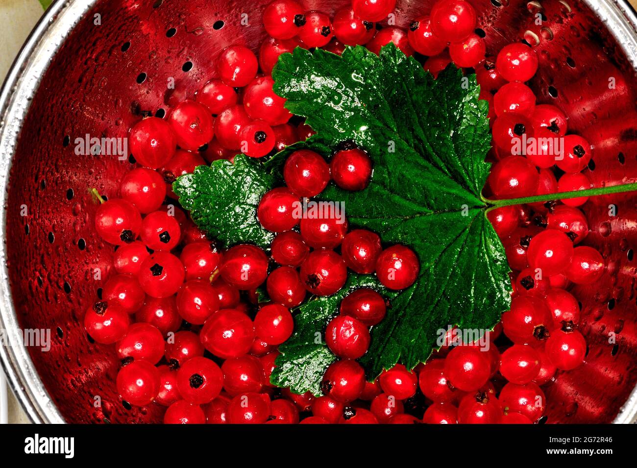 currants, food, natural, fresh, wholesome healthy, sweet, detail, no ...