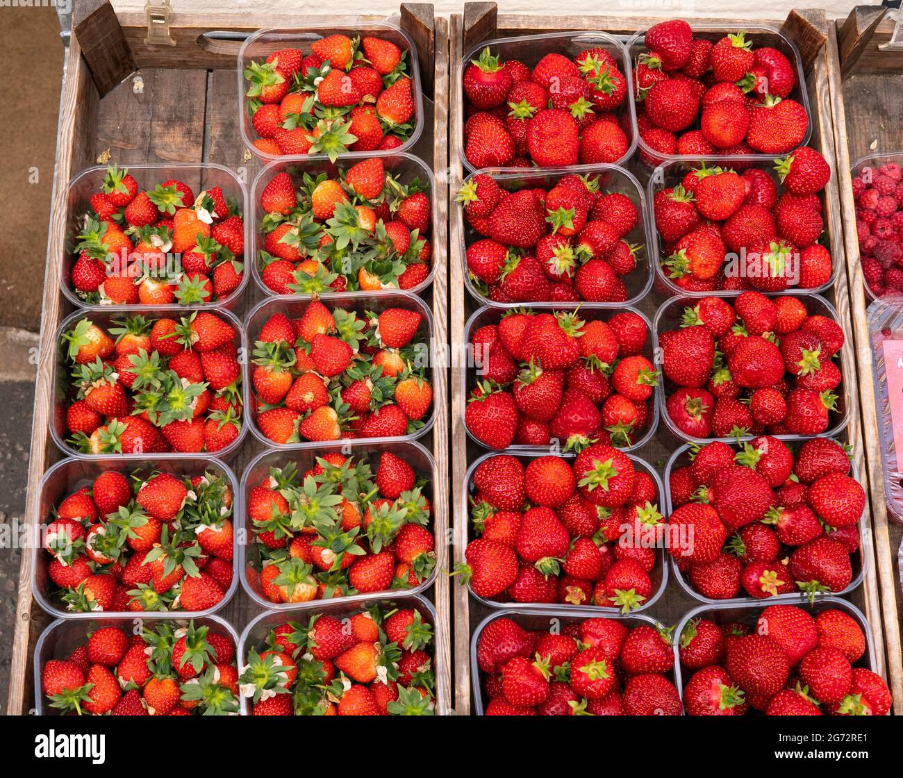 Fresh ripe strawberries on display Stock Photo - Alamy