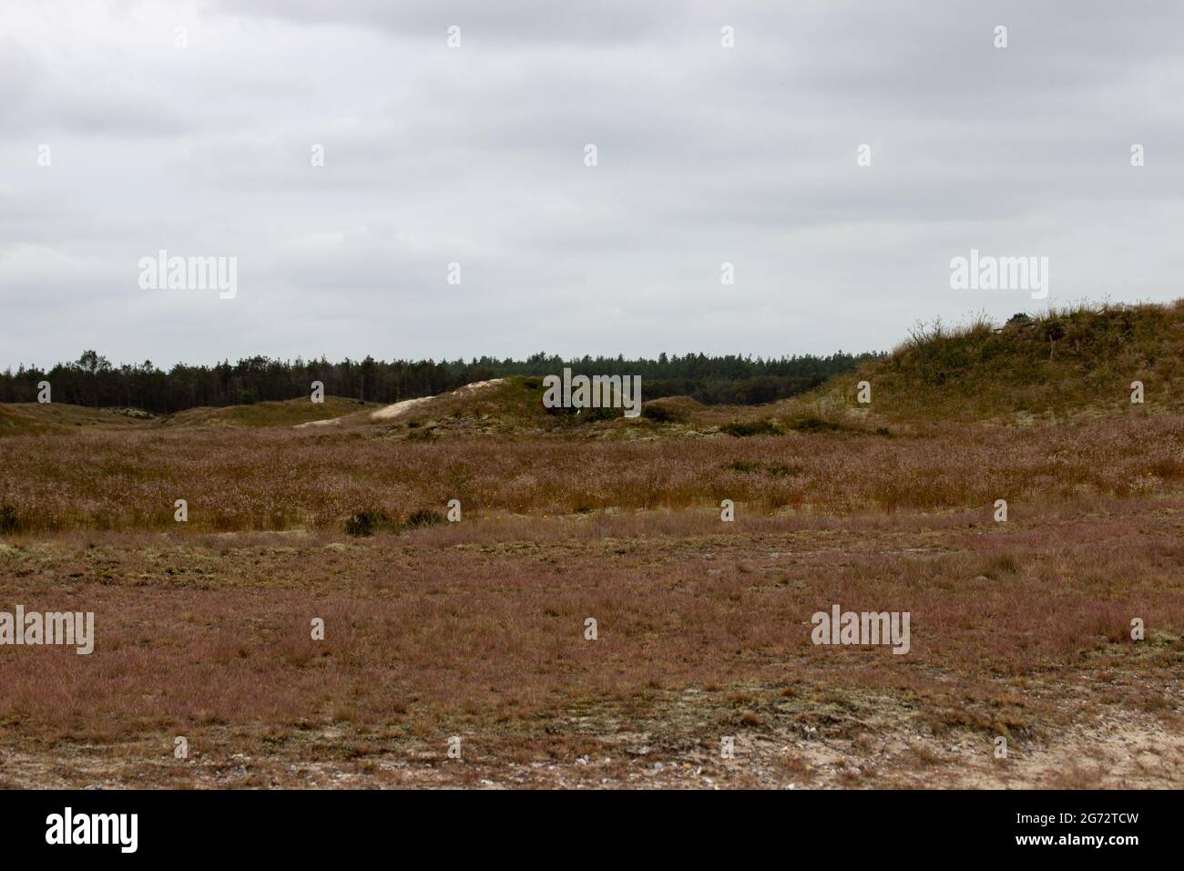 Landscape of a brownfield with trees background under a cloudy sky ...
