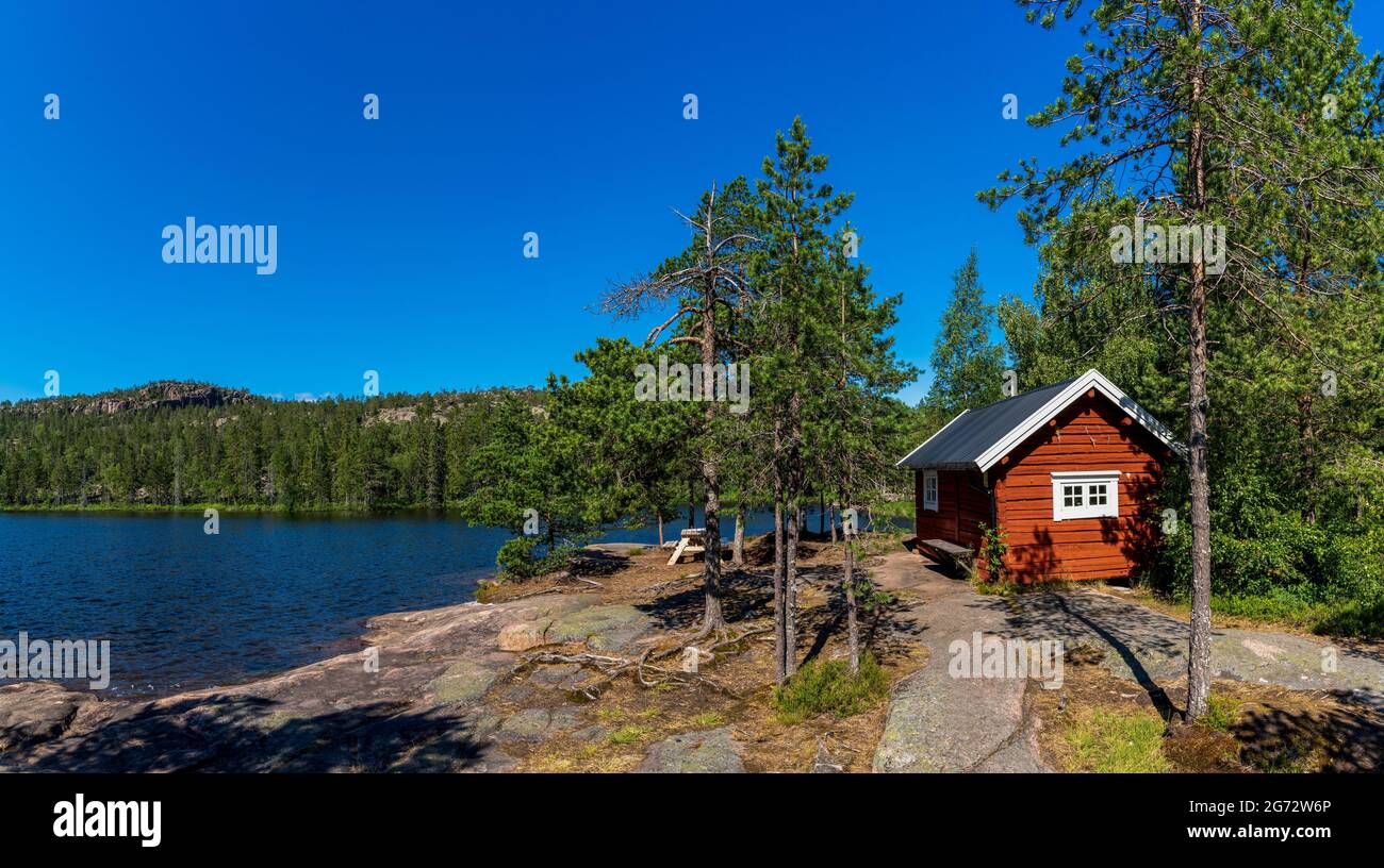 An idyllic wooden red cottage in coastal forest landscape on the Baltic ...