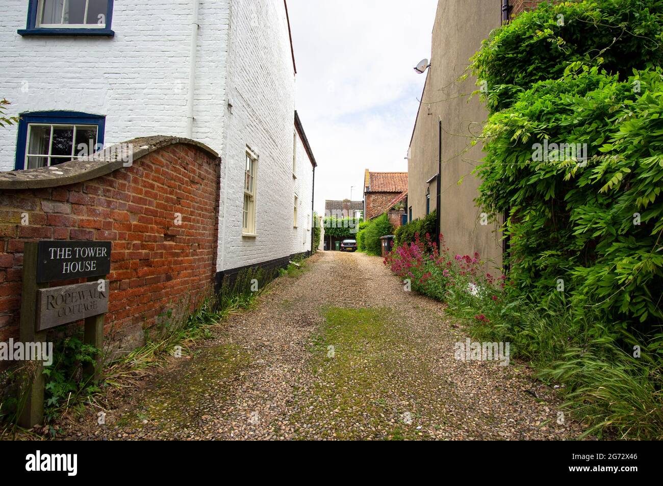 Leafy back alley way image Stock Photo - Alamy