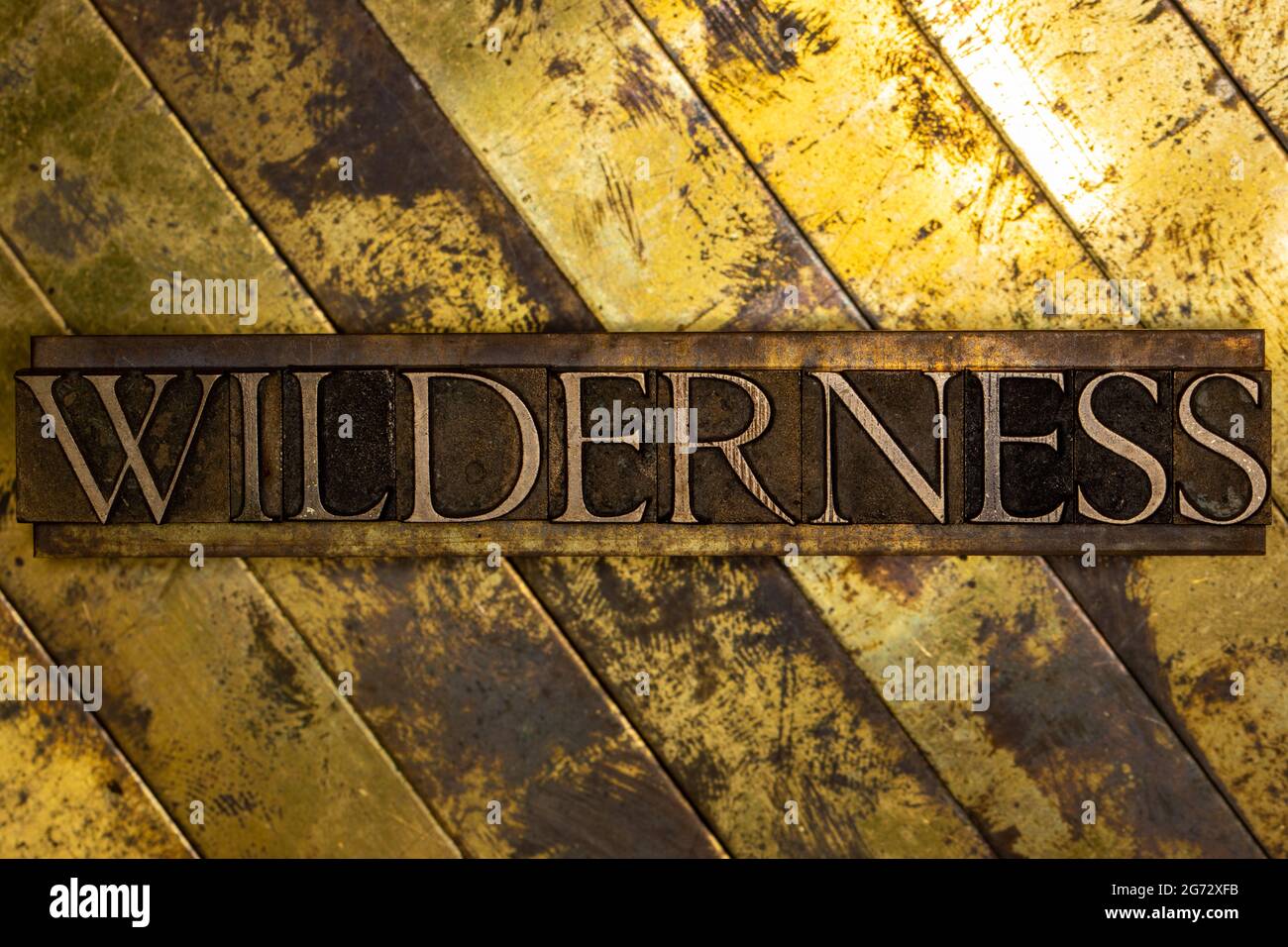 Wilderness text on vintage textured grunge copper and gold background ...