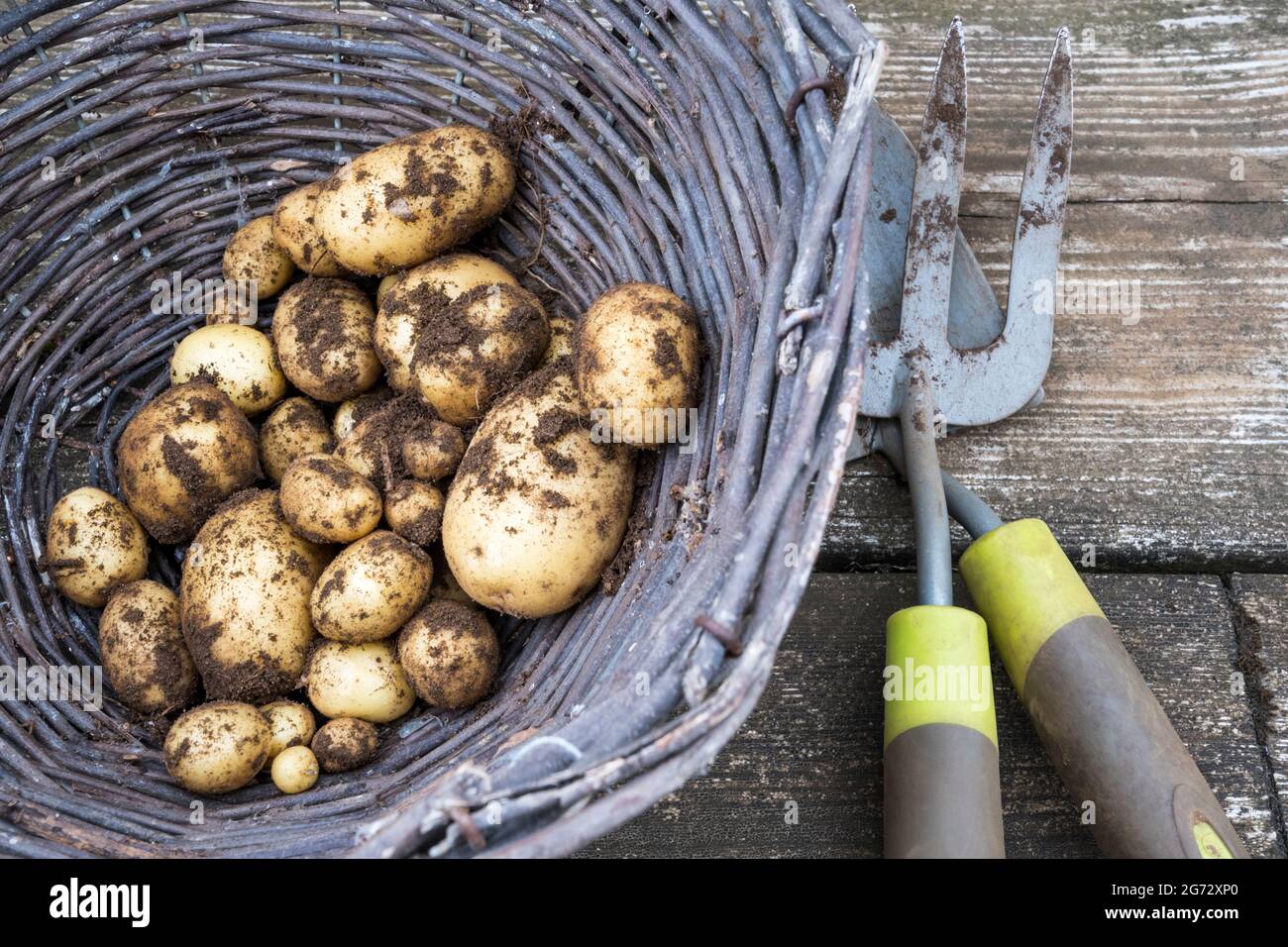 Vivaldi hi-res stock photography and images - Alamy