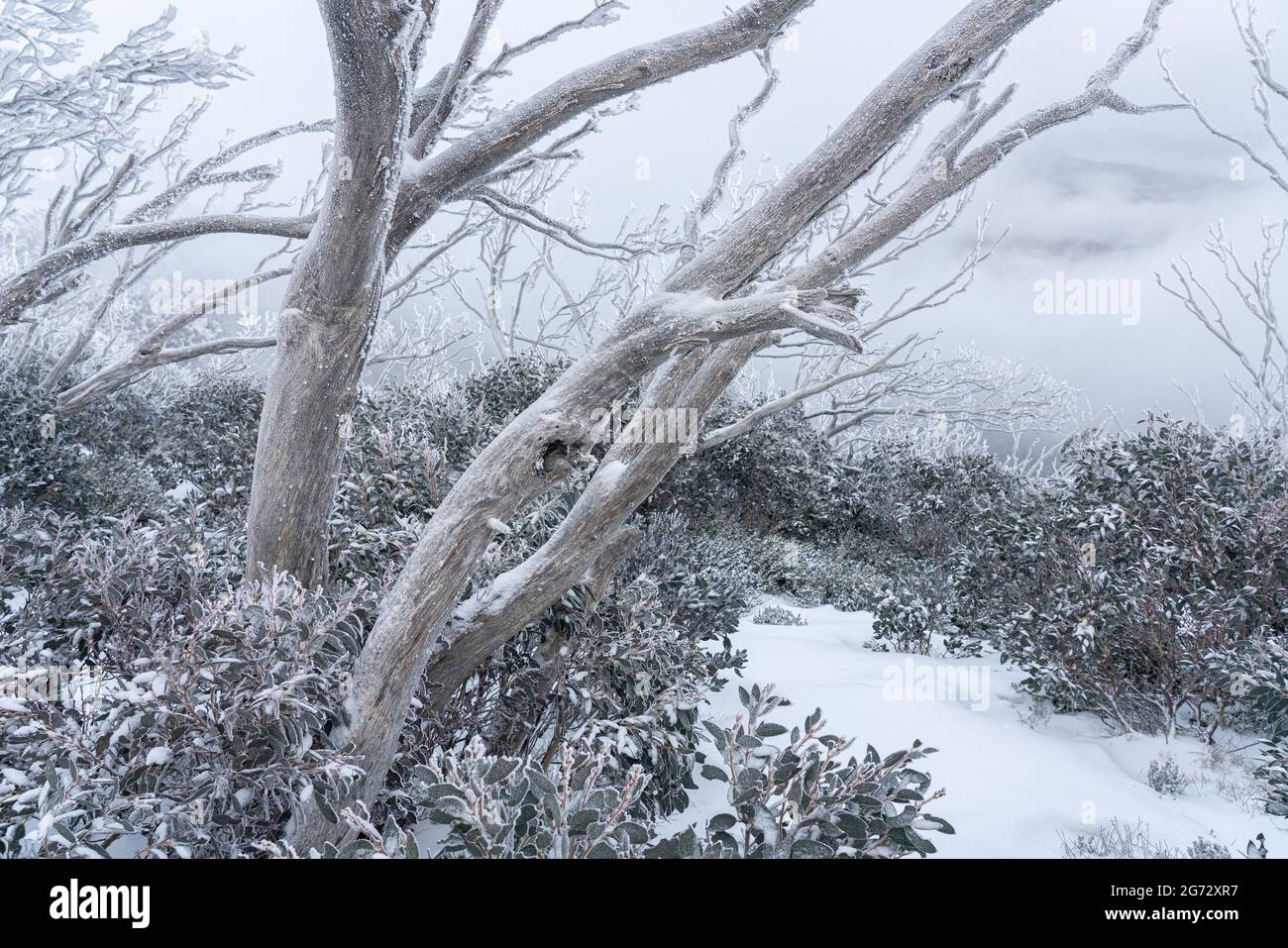 Snow mount hotham australia hi-res stock photography and images - Alamy