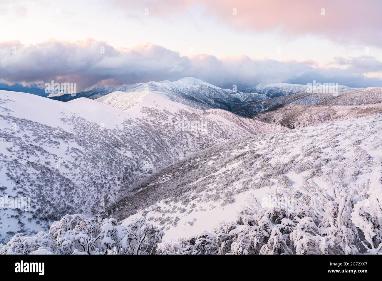 Feathertop australia hi-res stock photography and images - Alamy
