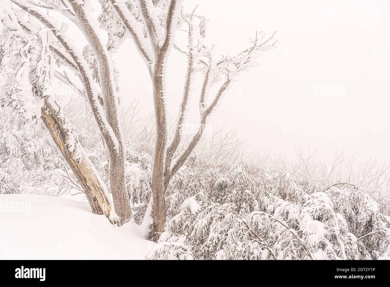 Beautiful scenery of Mount Hotham, Victoria, Australia Stock Photo - Alamy