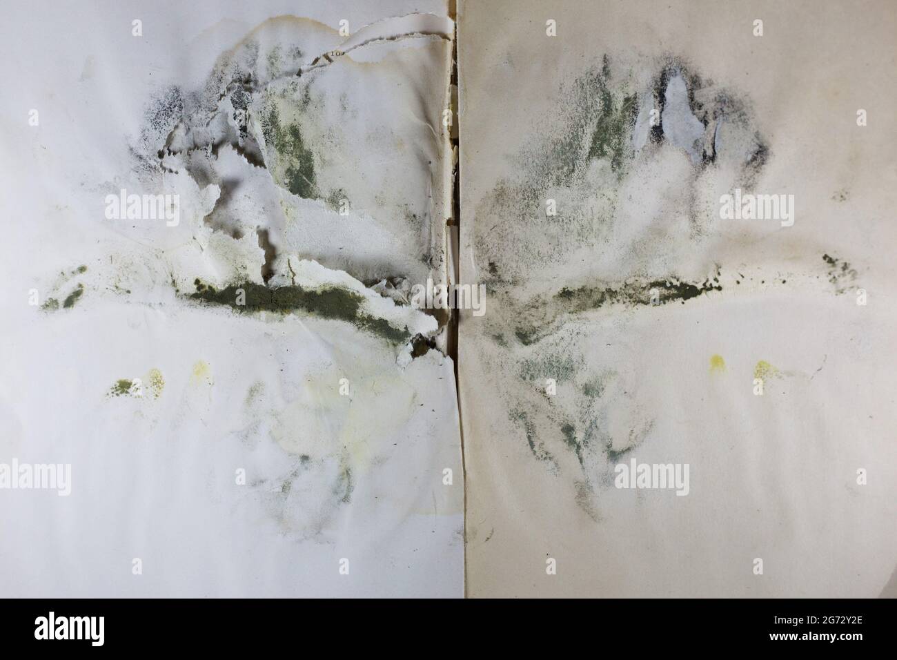 The pattern of mold inside an old book Stock Photo - Alamy