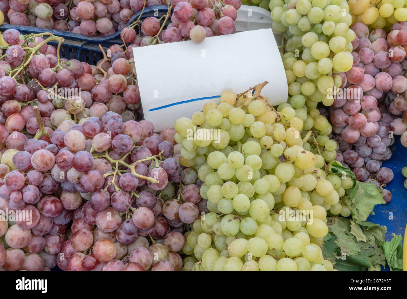 Ripe grape fruits hi-res stock photography and images - Alamy