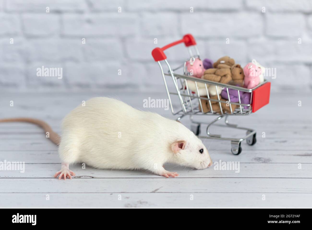 Kids shopping trolley hi-res stock photography and images - Alamy