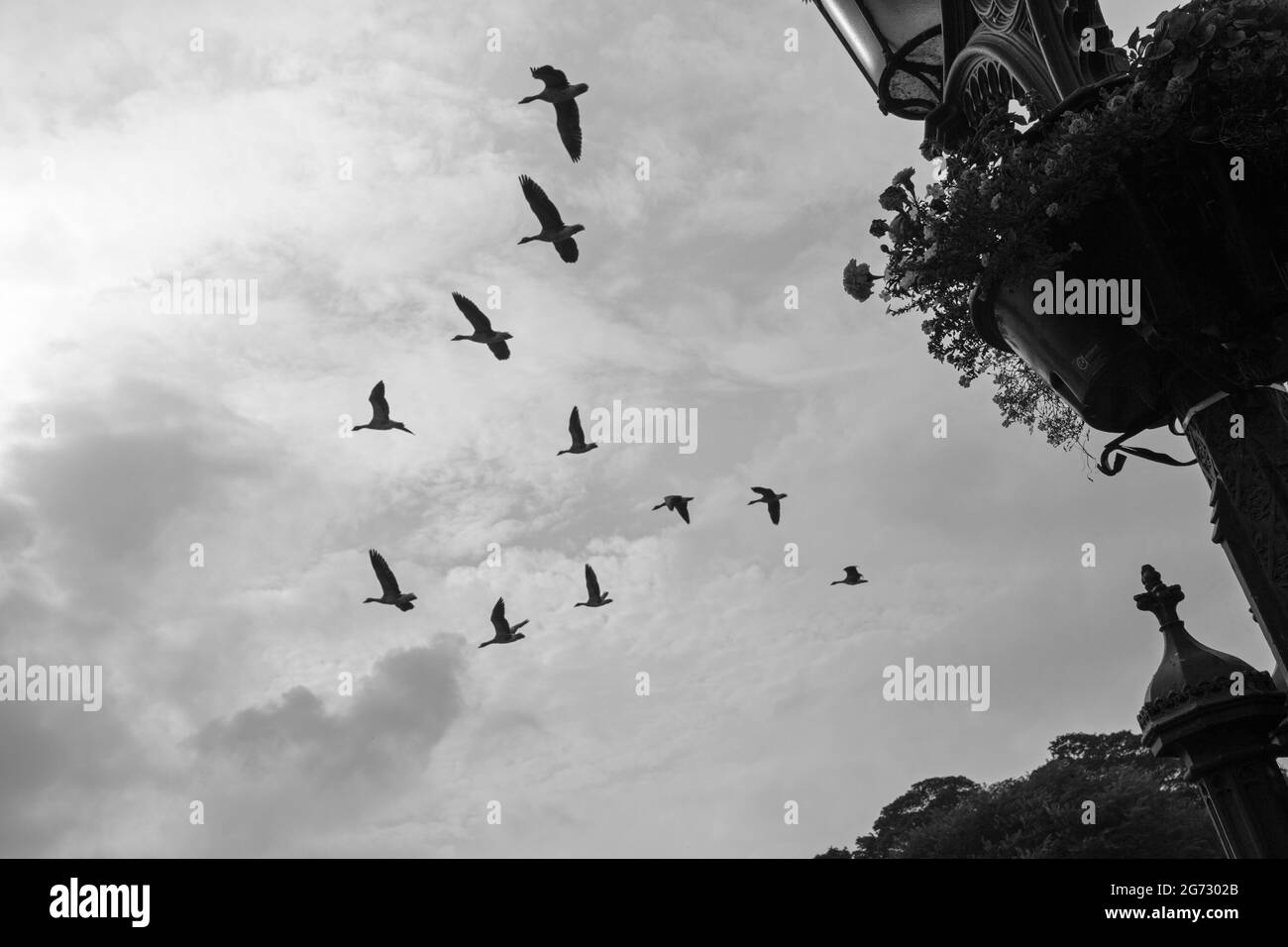Monochrome Graveyard Scene Stock Photo - Alamy