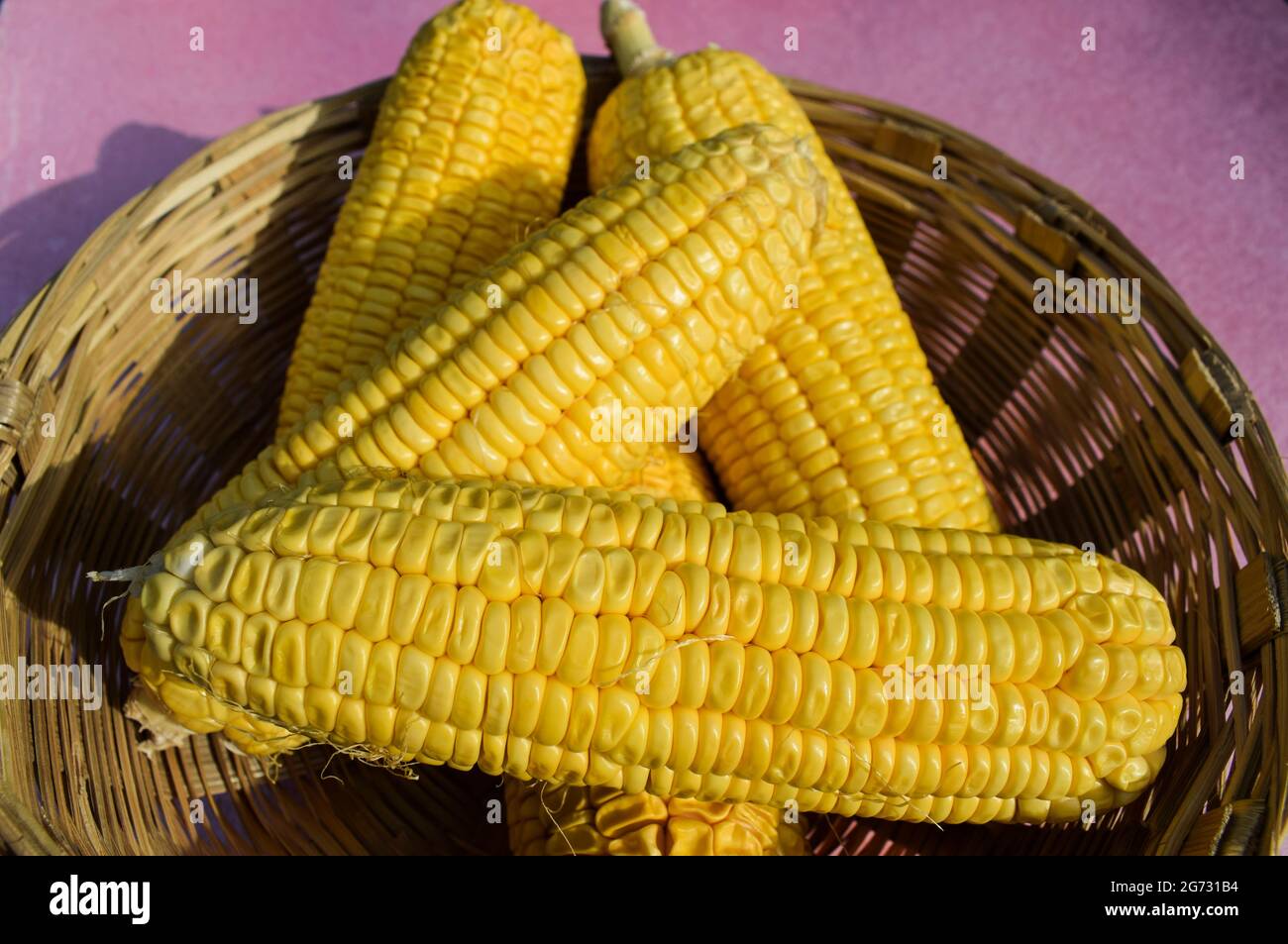 Heap of corncob also called Cob of corn also knwn as maize whole ...