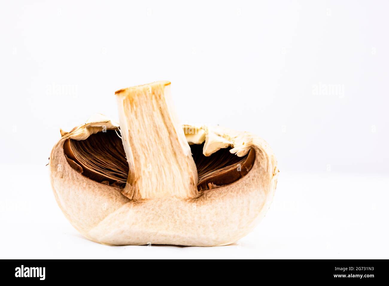 Fresh champignons, champignon mushrooms, close-up, isolated Stock Photo ...