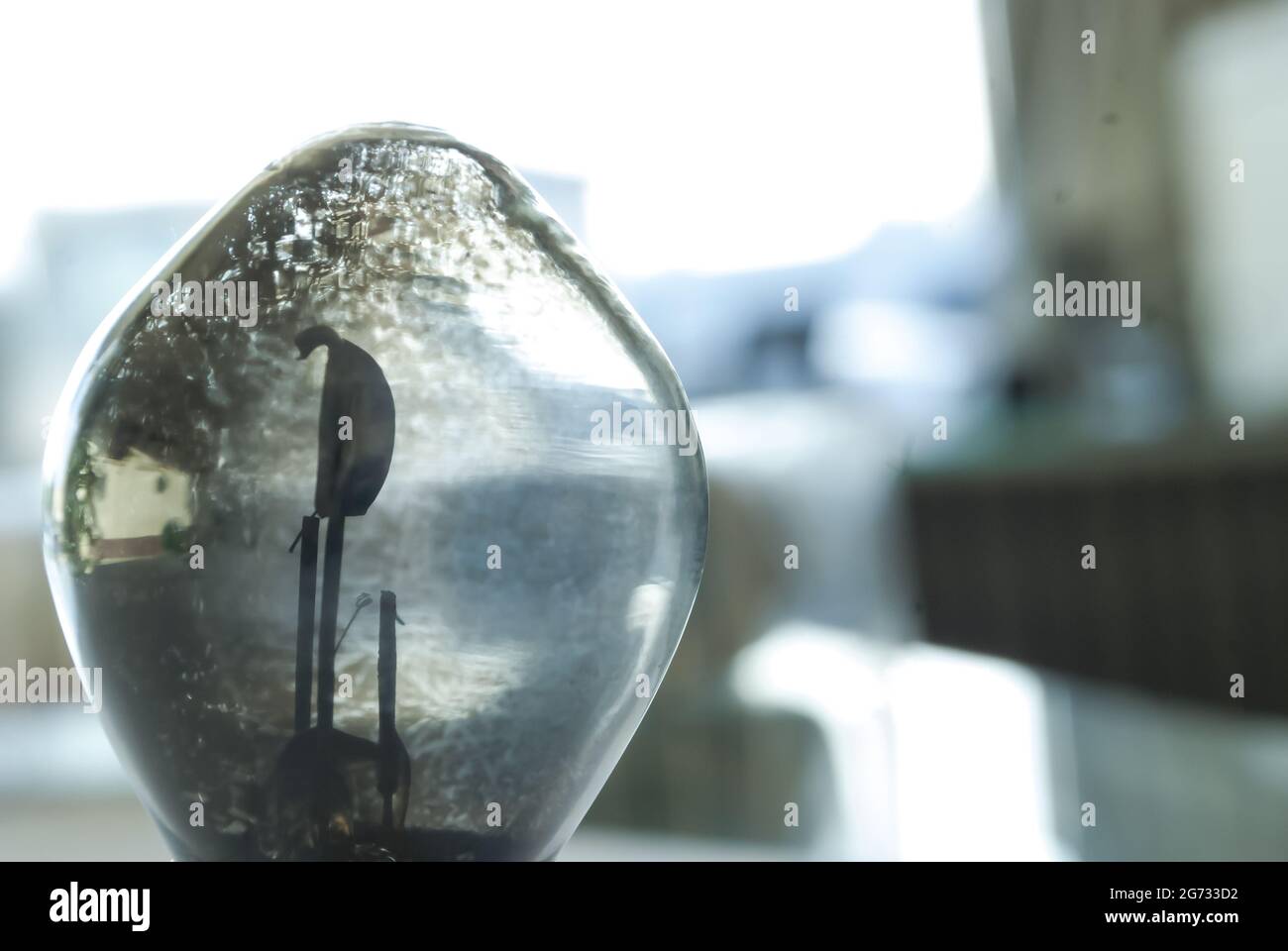 upright dirty dusty macro bulb closeup,messy transparent glass,daylight ...