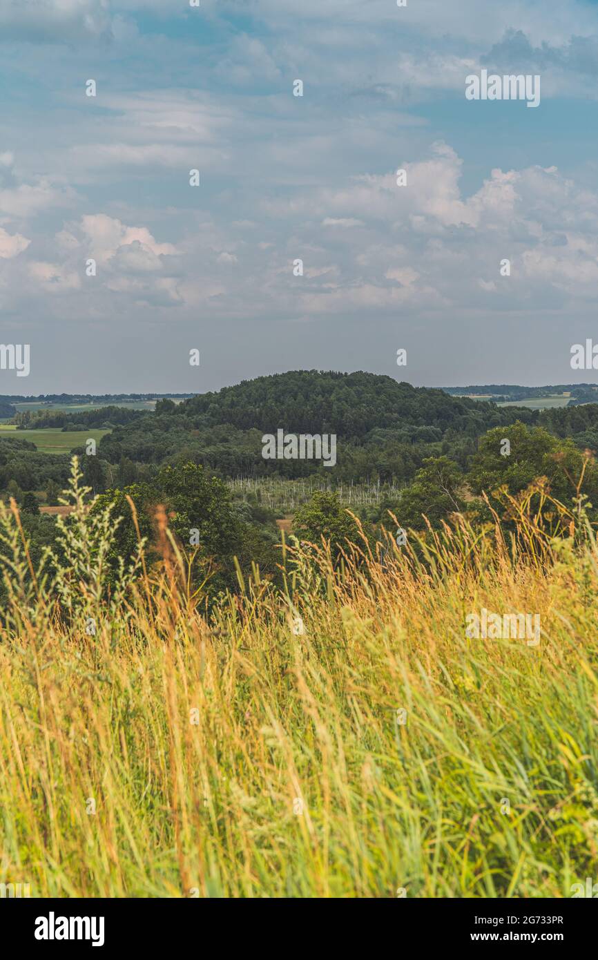 The nature scenery of Lithuania. Stunning green and forest landscape ...