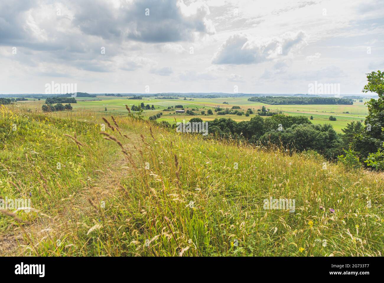 The nature scenery of Lithuania. Stunning green and forest landscape ...